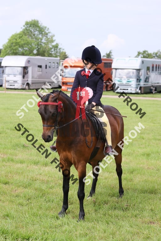 S29_2779 2024 - 1st Class Images