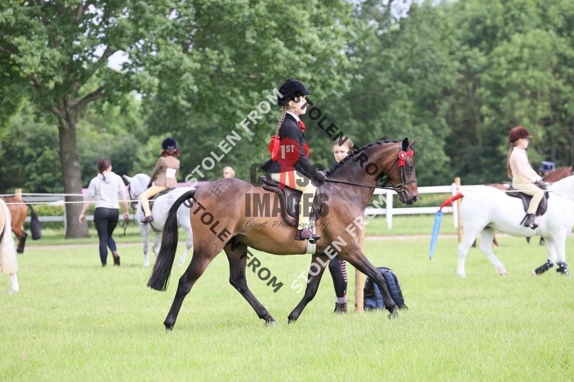 S29_2832 2024 - 1st Class Images