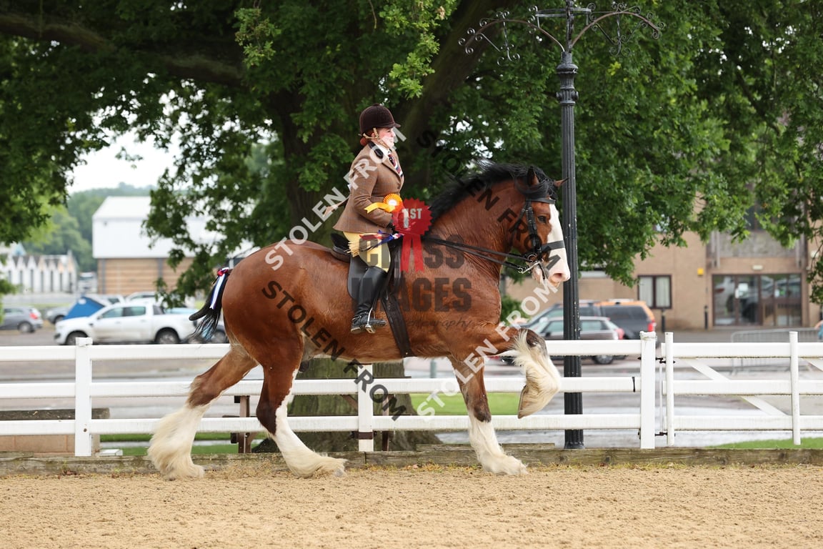 H30_1220 2024 - 1st Class Images