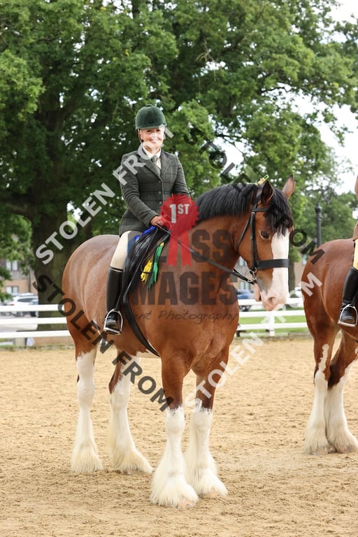 H30_1195 2024 - 1st Class Images