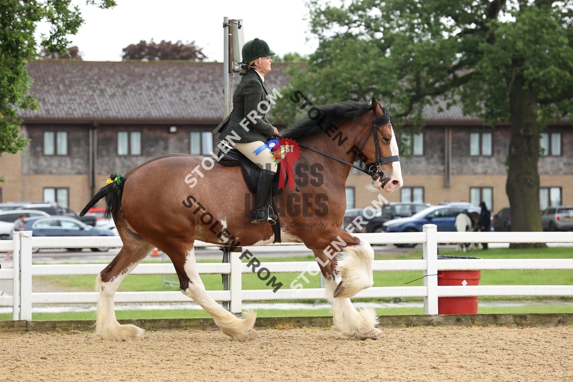 H30_1215 2024 - 1st Class Images