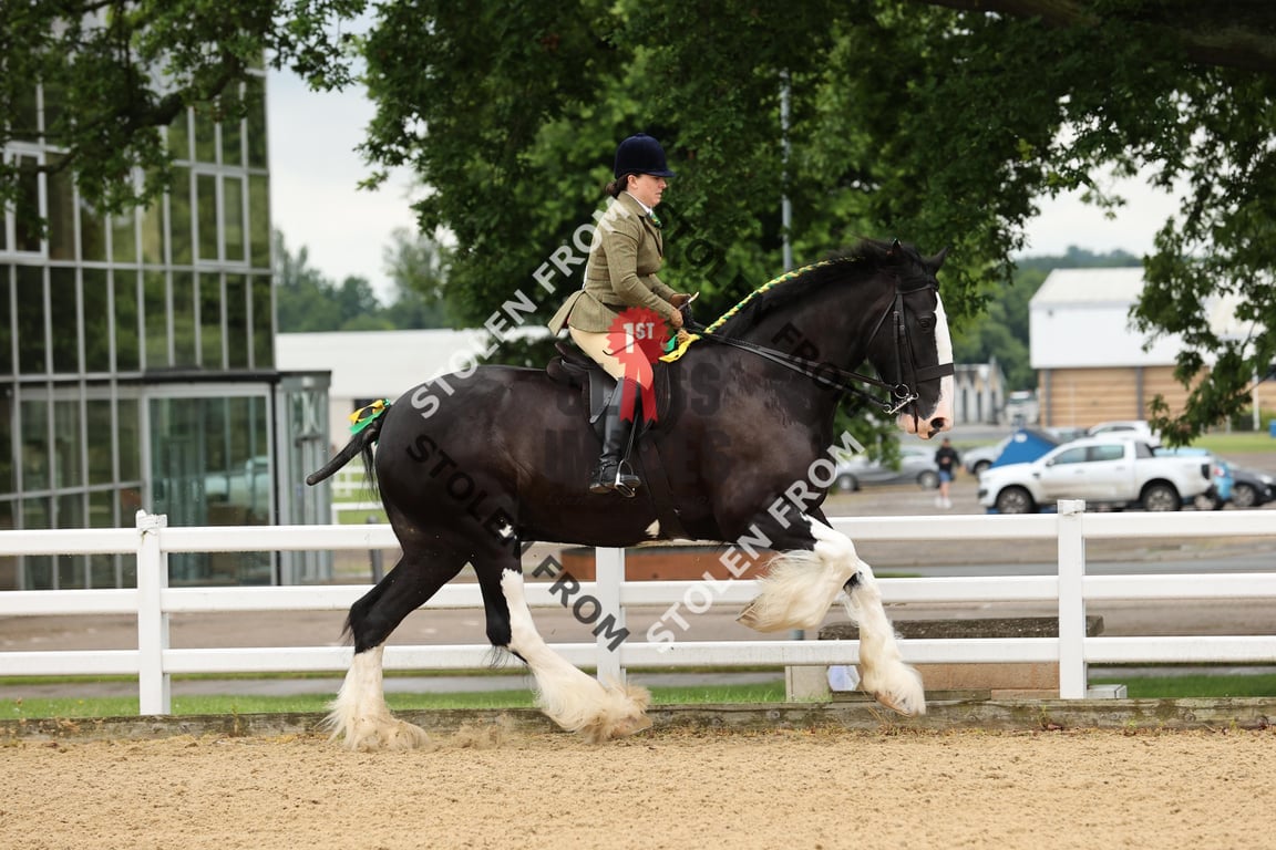 H30_1133 2024 - 1st Class Images