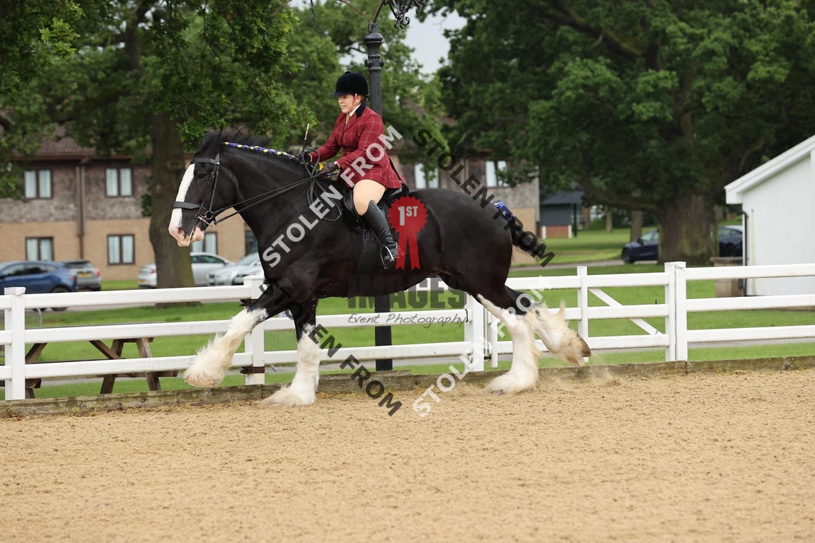 H30_1152 2024 - 1st Class Images