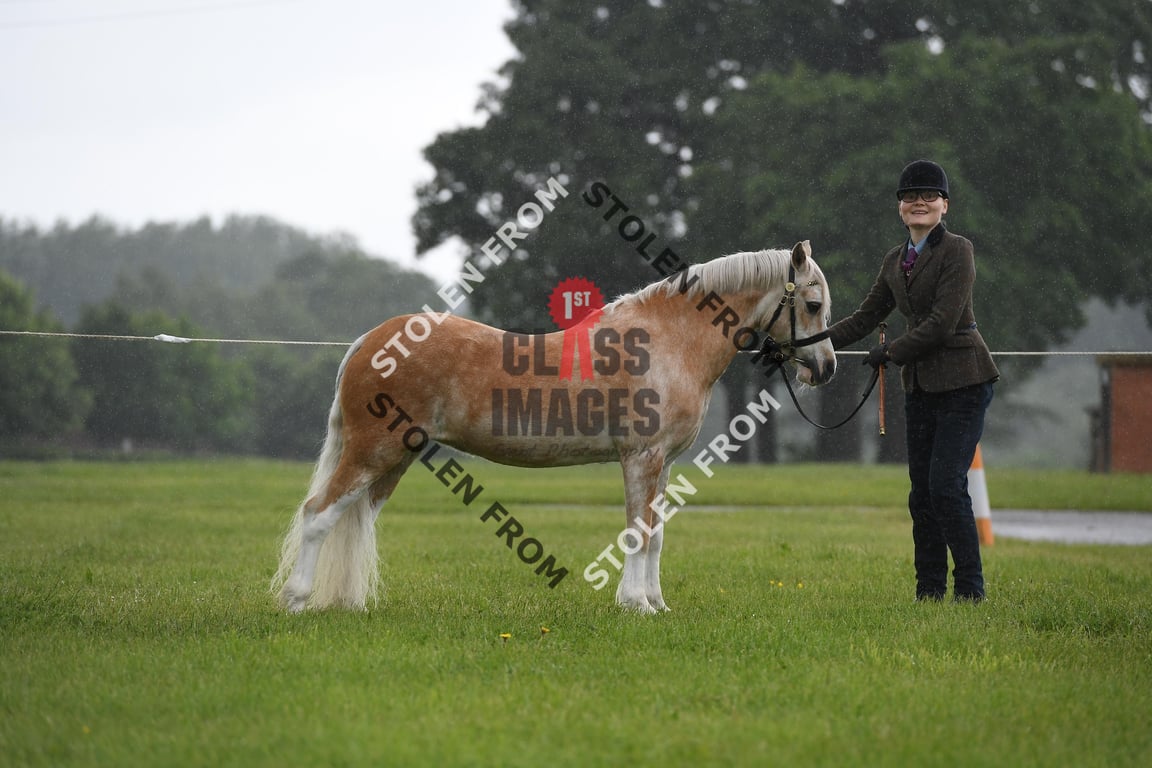 A30_7941 2024 - 1st Class Images