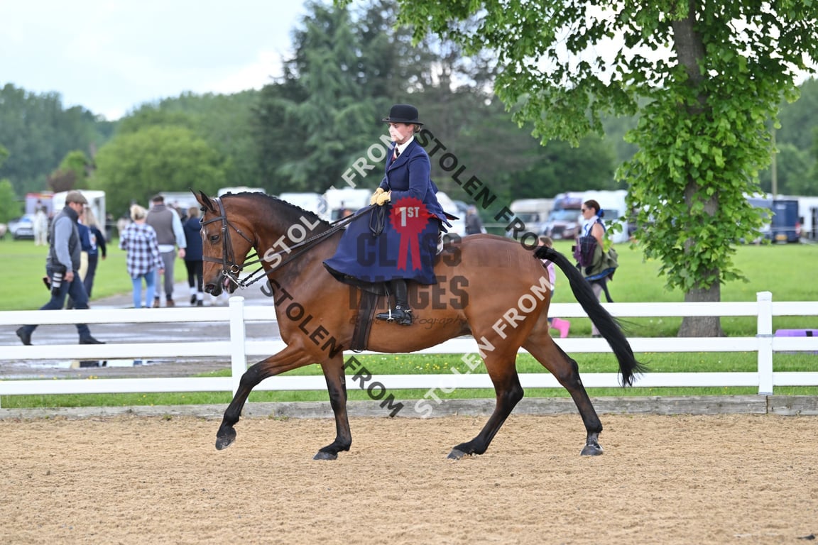 N30_8088 2024 - 1st Class Images