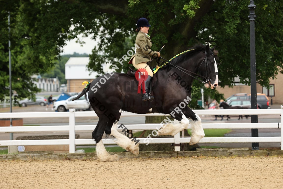 H30_1134 2024 - 1st Class Images