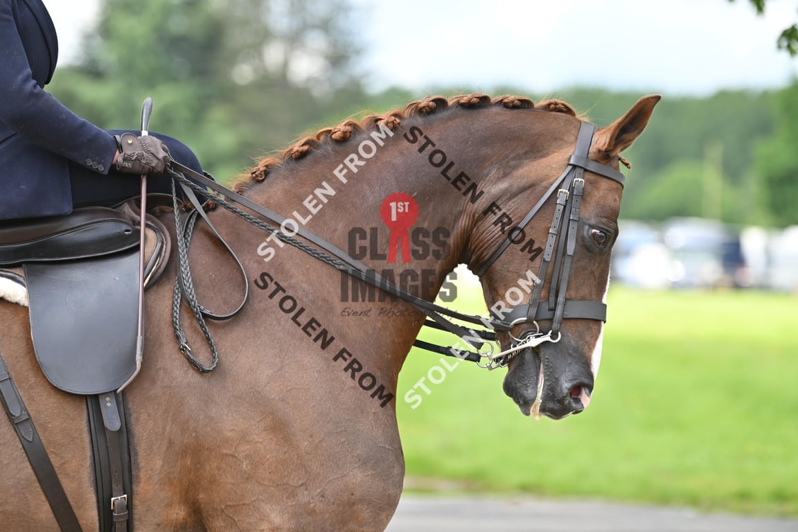 N30_7992 2024 - 1st Class Images