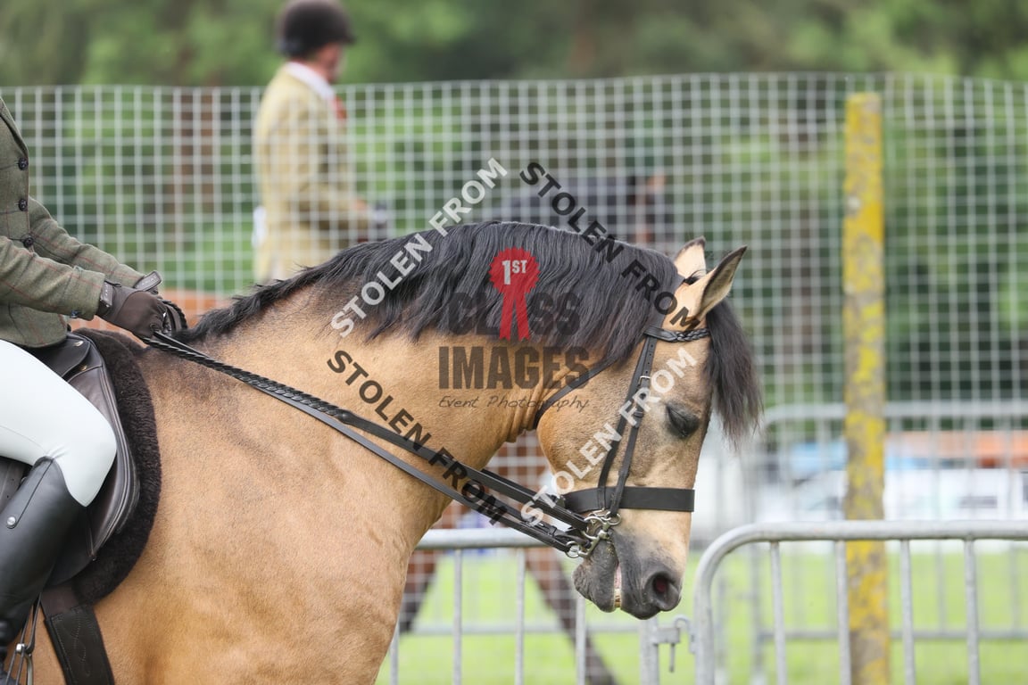 S32_6871 2024 - 1st Class Images