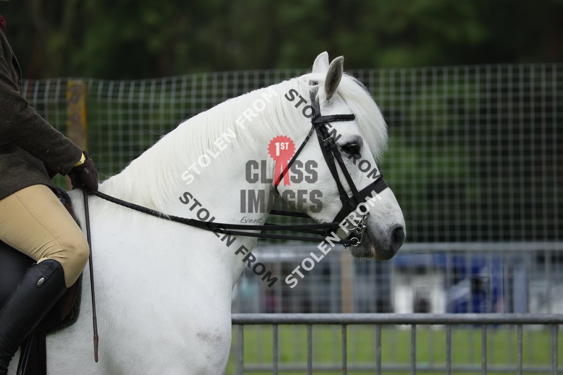 S32_6869 2024 - 1st Class Images