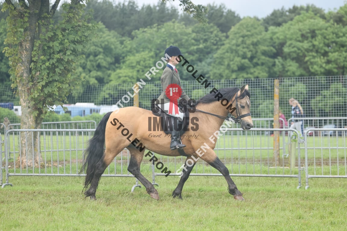 S32_6911 2024 - 1st Class Images