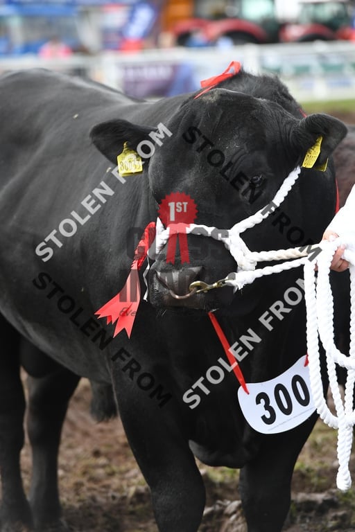 A32_0764 2024 - 1st Class Images