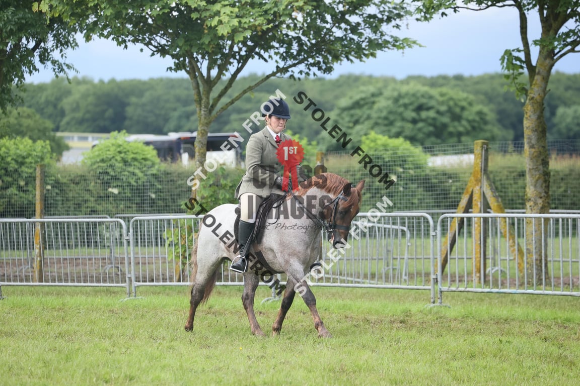 S32_6887 2024 - 1st Class Images