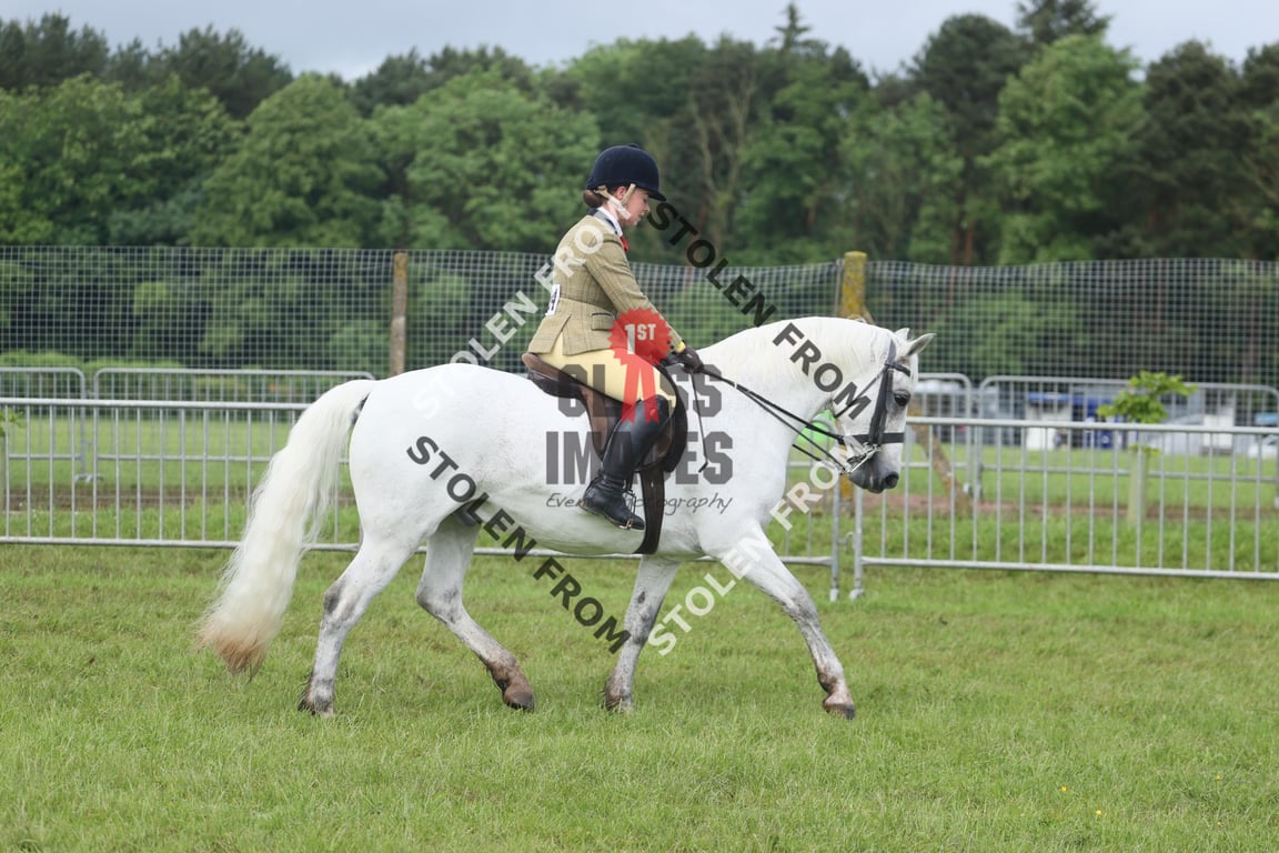 S32_6882 2024 - 1st Class Images