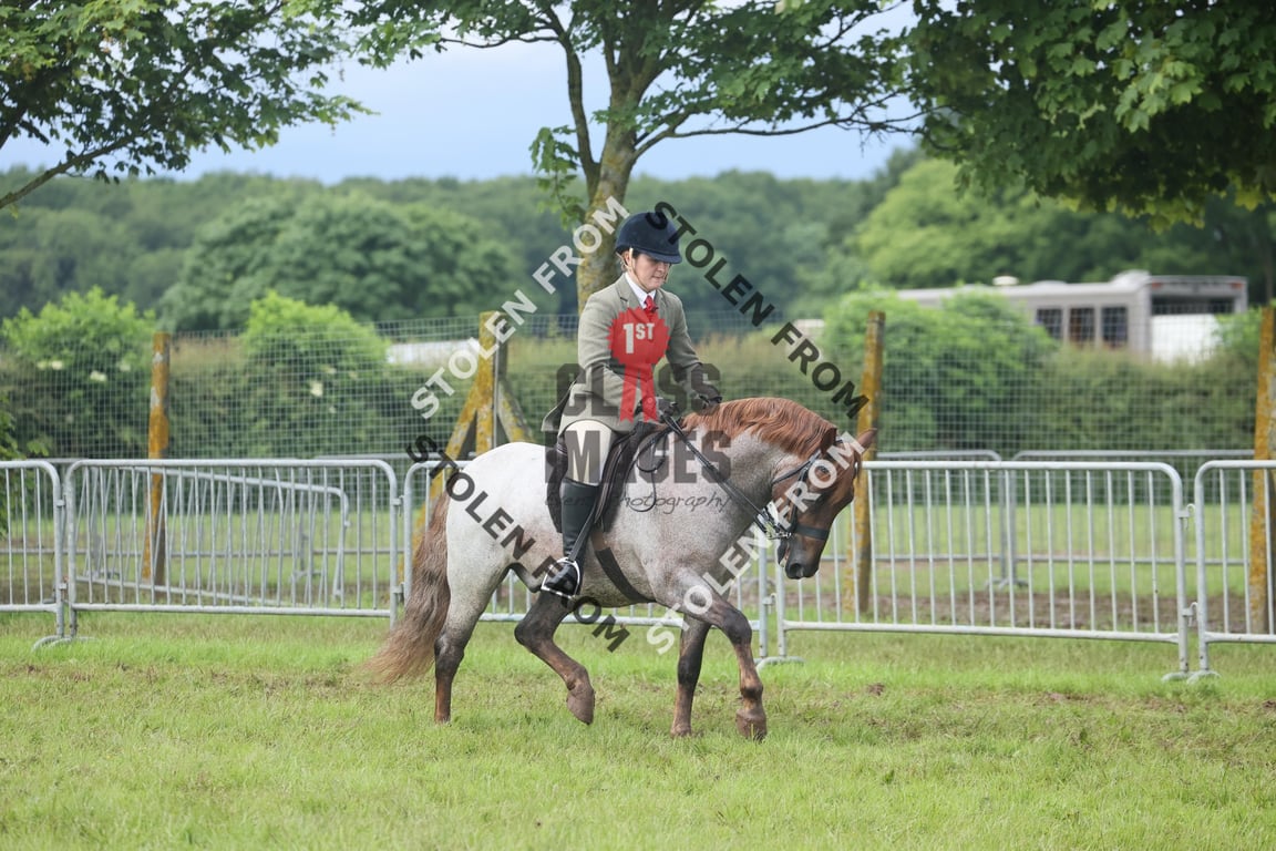 S32_6889 2024 - 1st Class Images