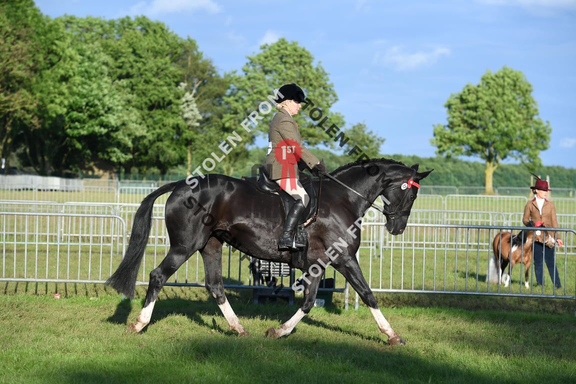 T32_1293 2024 - 1st Class Images