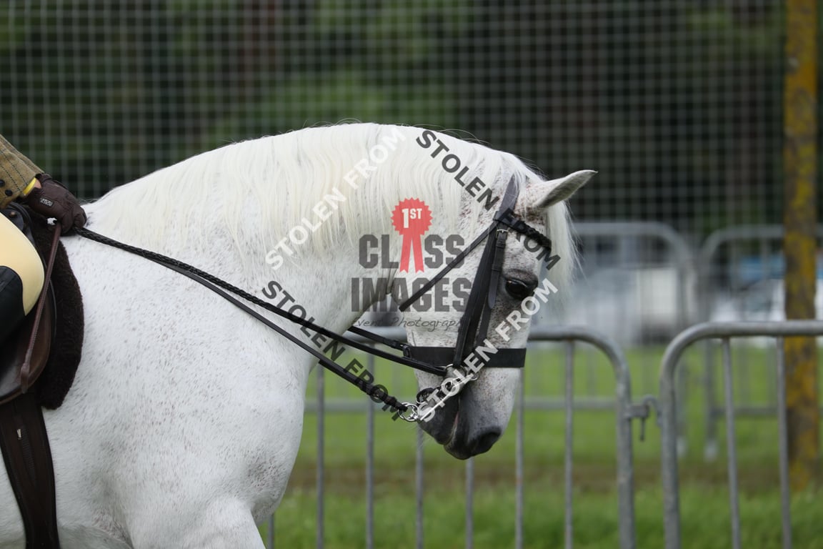 S32_6867 2024 - 1st Class Images