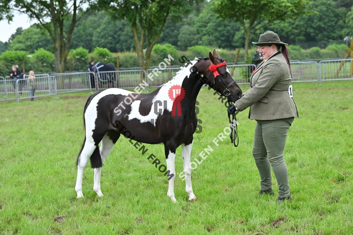 N33_0379 2024 - 1st Class Images