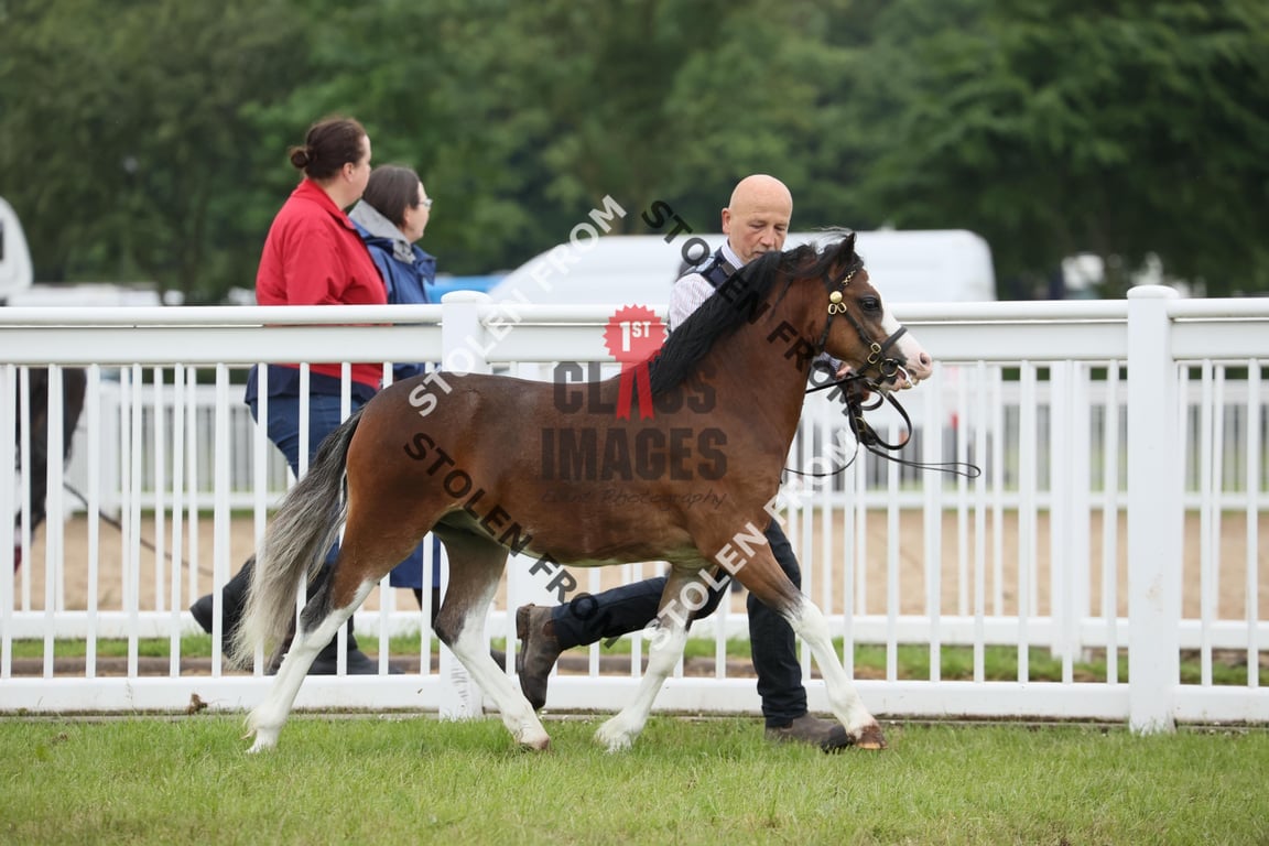 S33_0781 2024 - 1st Class Images