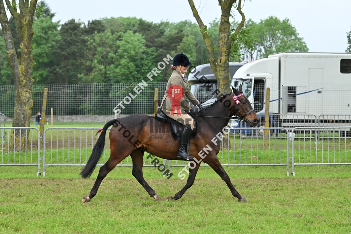 N33_0549 2024 - 1st Class Images