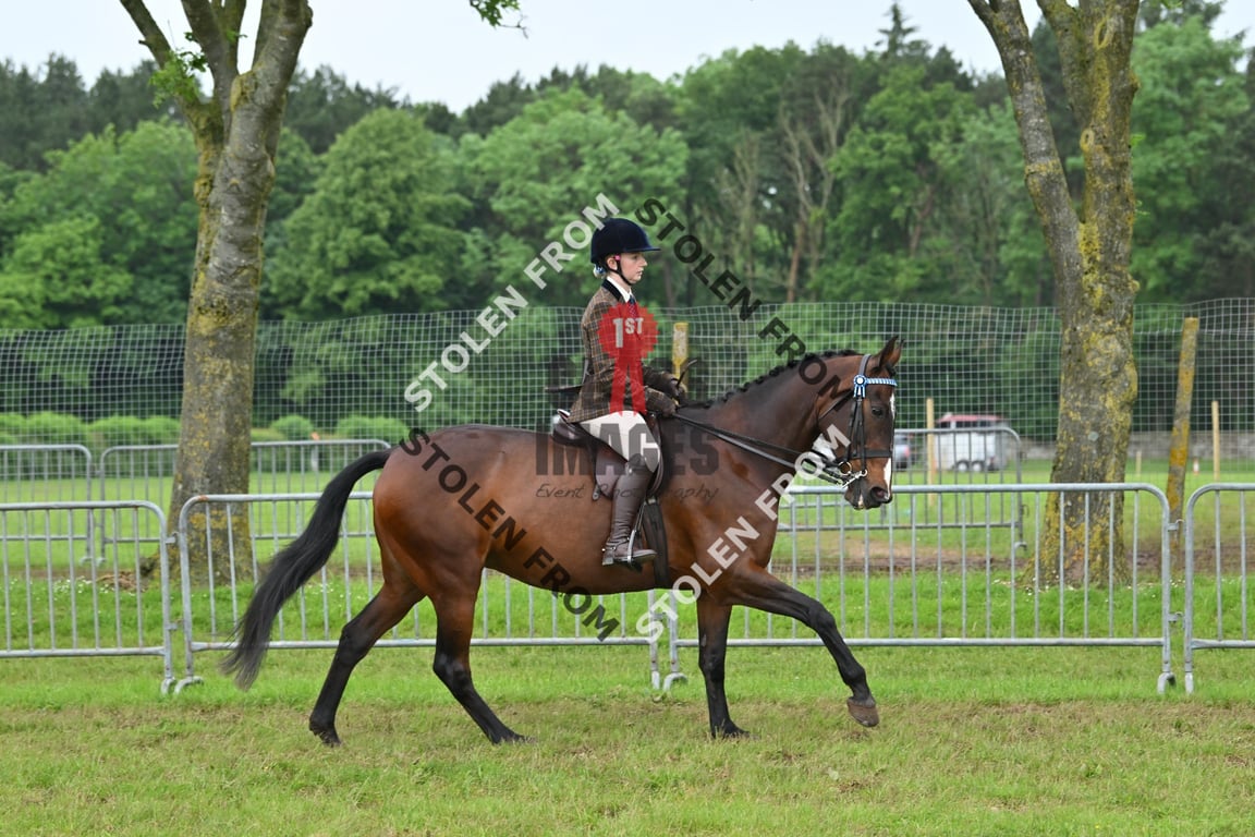 N33_0546 2024 - 1st Class Images