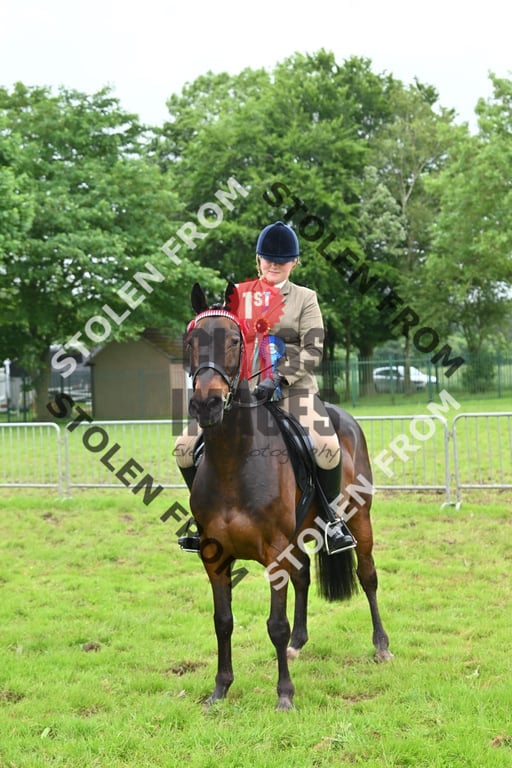 N33_0562 2024 - 1st Class Images