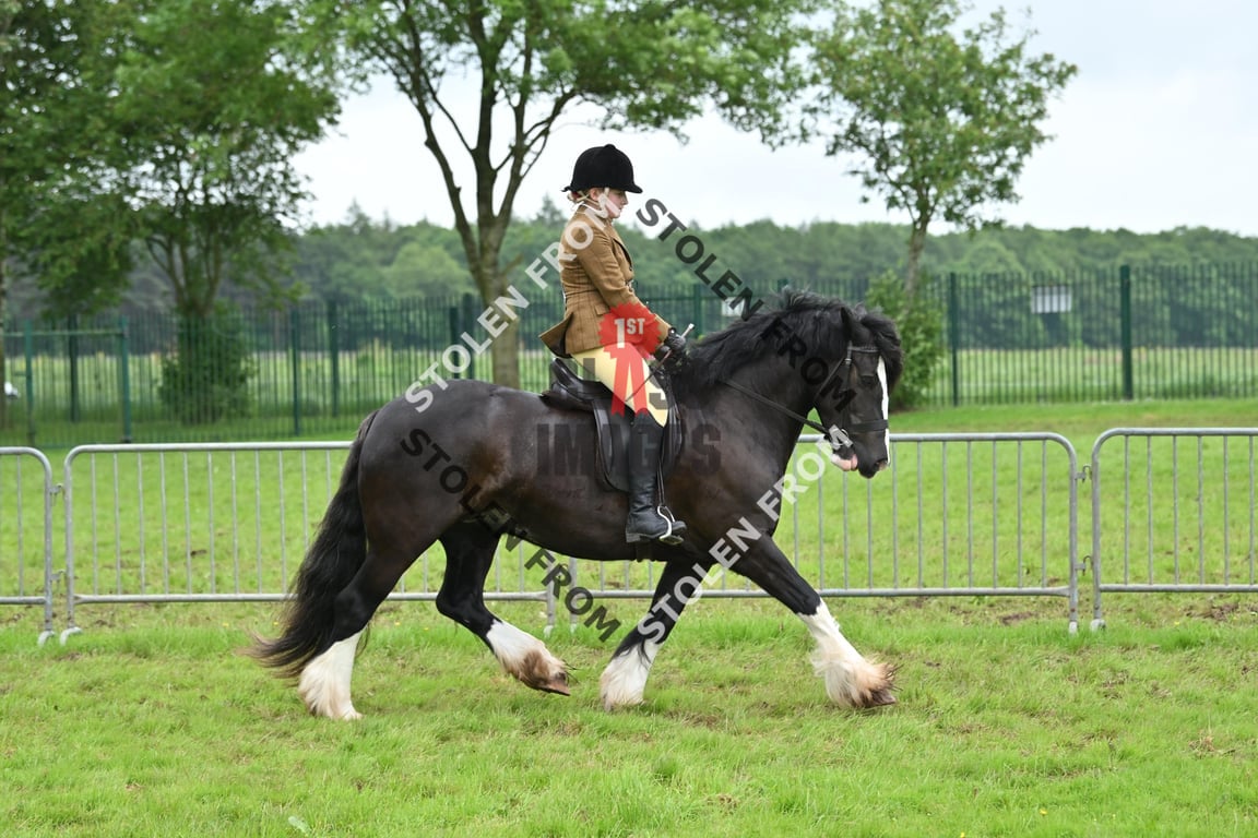 N33_0520 2024 - 1st Class Images