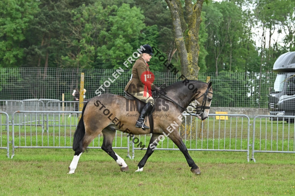 N33_0627 2024 - 1st Class Images