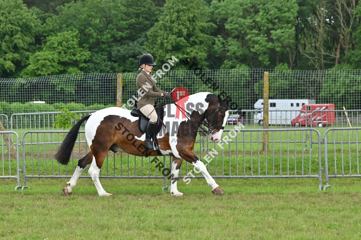 N33_0630 2024 - 1st Class Images