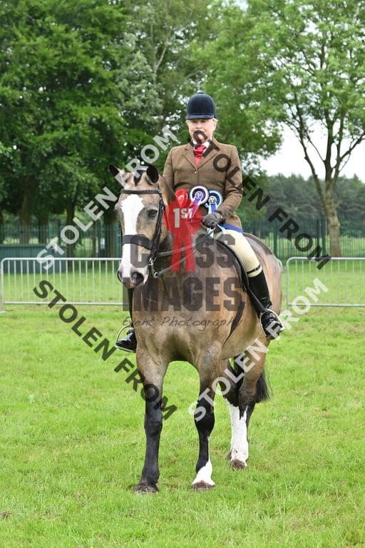 N33_0644 2024 - 1st Class Images