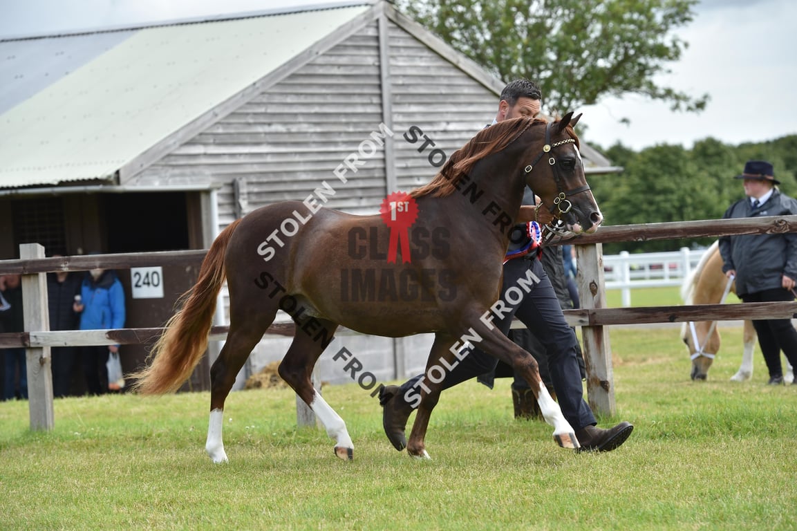 A50_0855 2024 - 1st Class Images