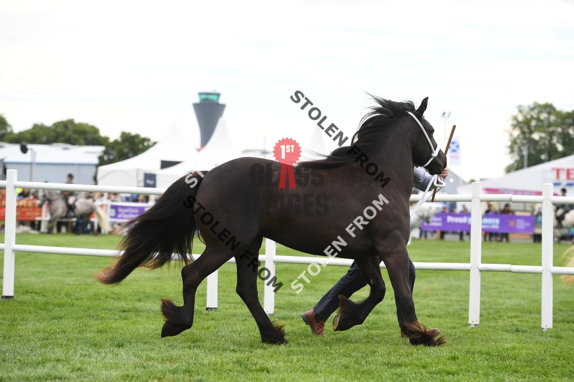 E54_0350 2024 - 1st Class Images