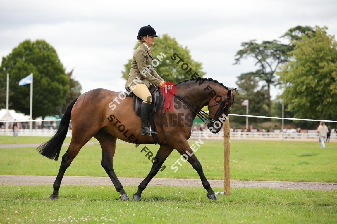 F70_2060 2024 - 1st Class Images