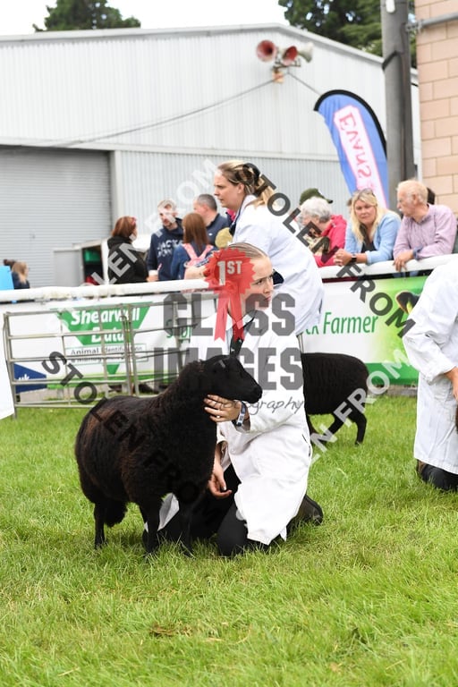 B72_0989 2024 - 1st Class Images