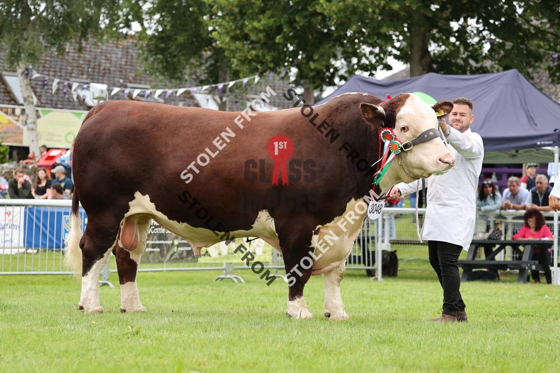 H72_2470 2024 - 1st Class Images