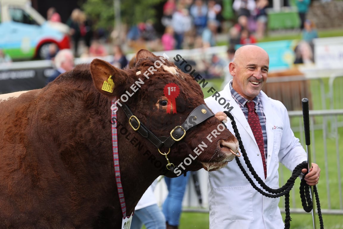 H72_2075 2024 - 1st Class Images