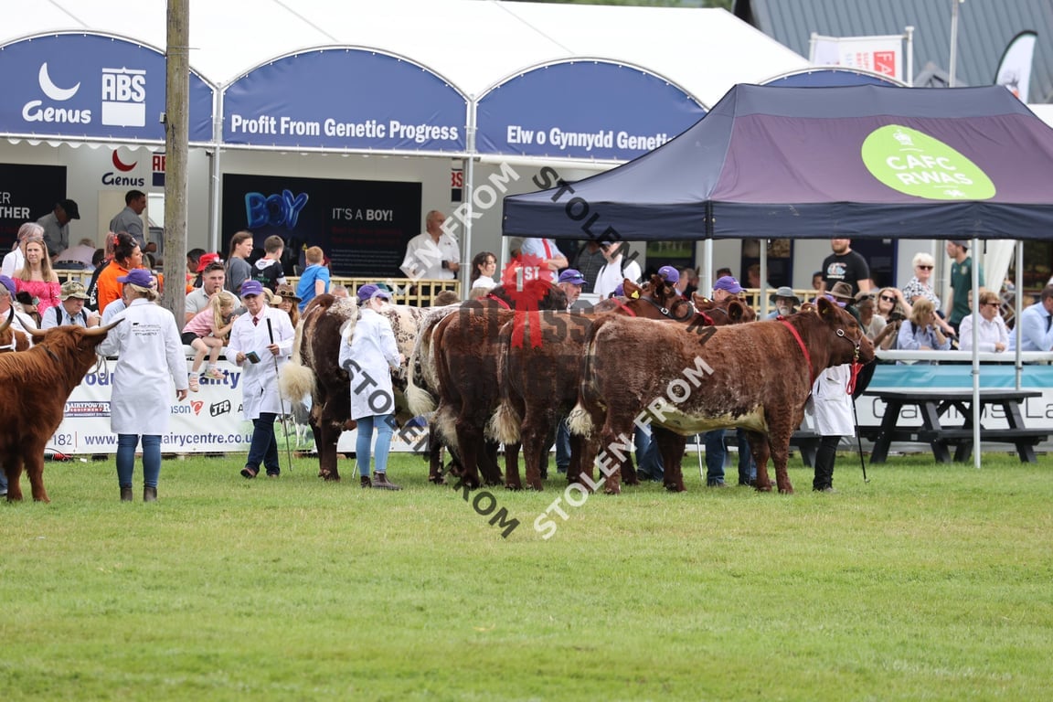 C73_6672 2024 - 1st Class Images