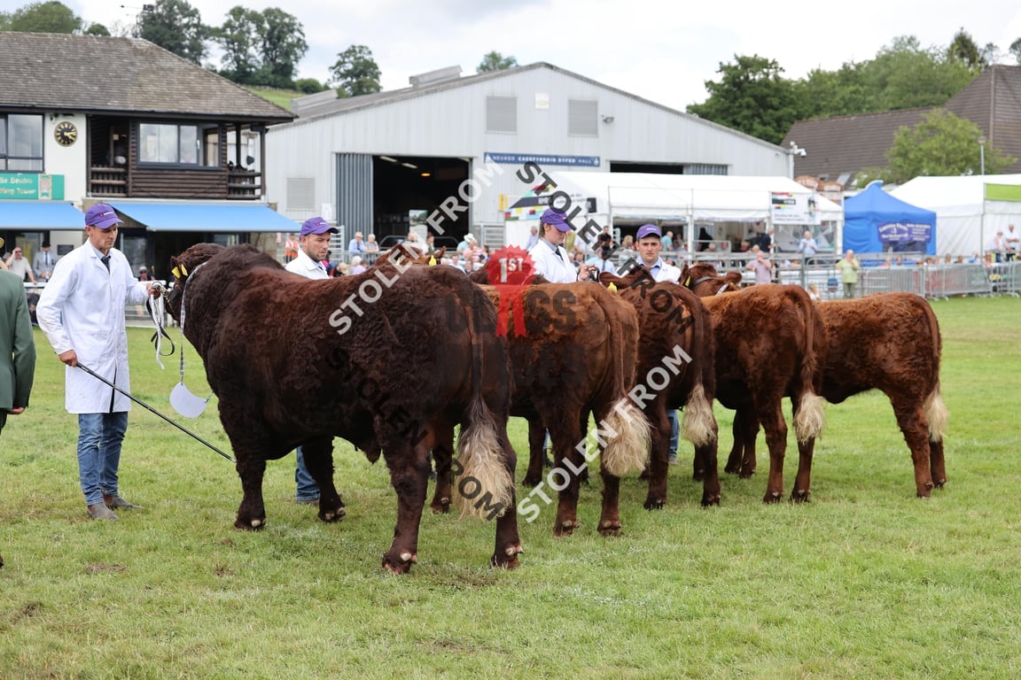 C73_6773 2024 - 1st Class Images