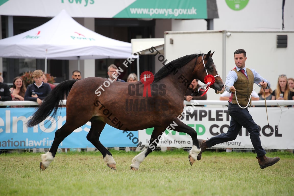 E75_5034 2024 - 1st Class Images