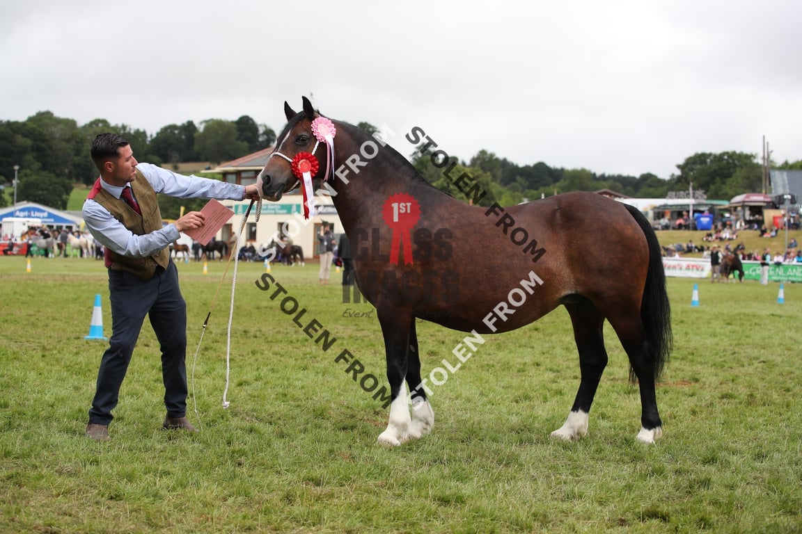 E75_5070 2024 - 1st Class Images