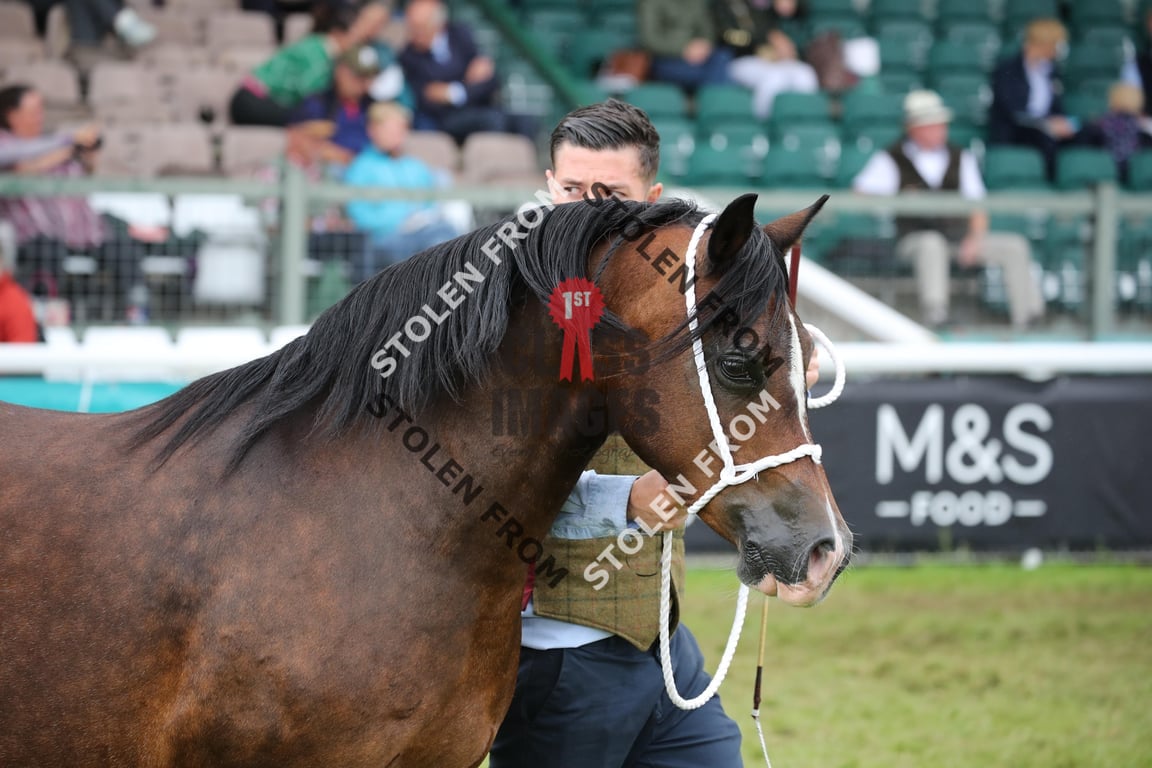 E75_4710 2024 - 1st Class Images