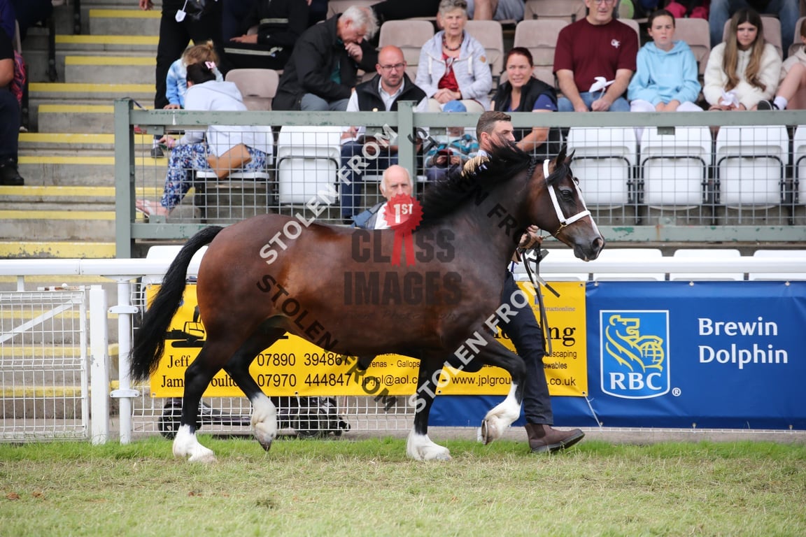 E75_5020 2024 - 1st Class Images