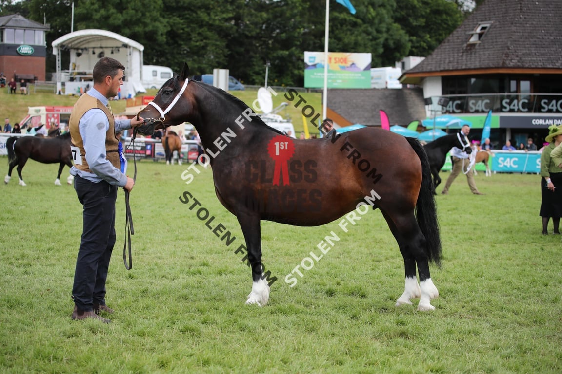 E75_4981 2024 - 1st Class Images