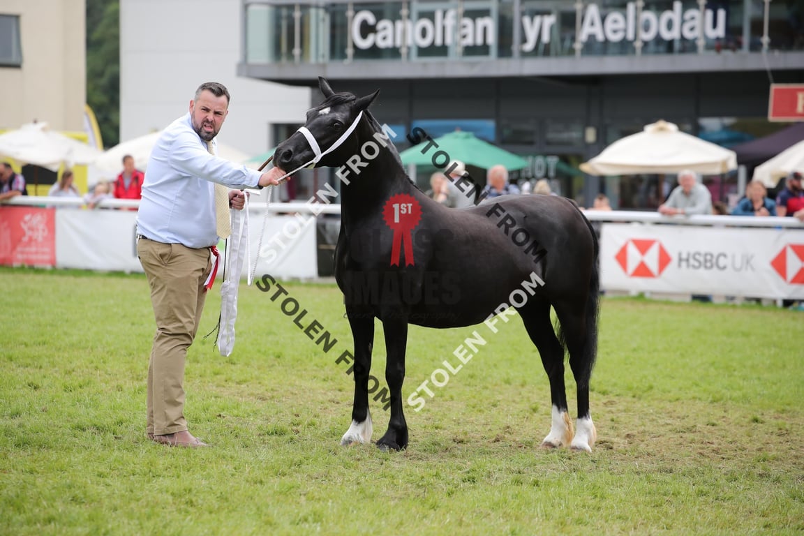 E75_5040 2024 - 1st Class Images