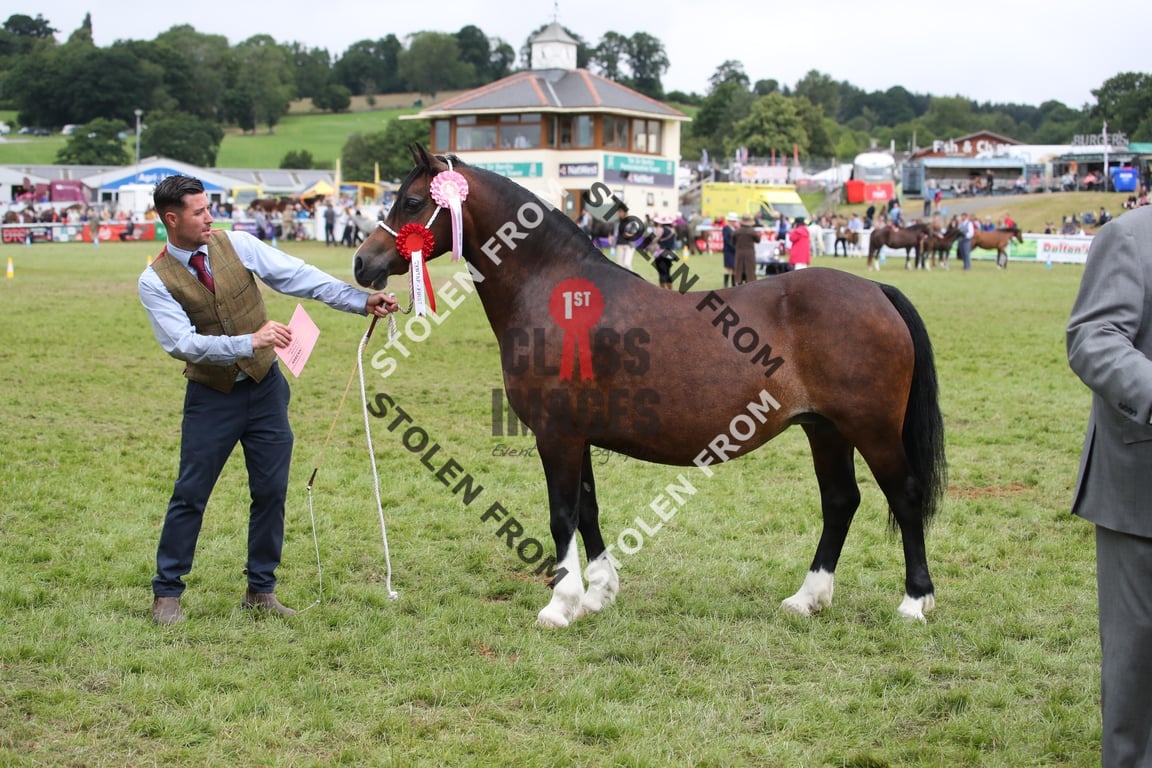 E75_5056 2024 - 1st Class Images