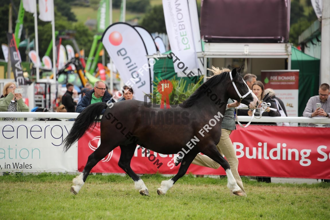 E75_5005 2024 - 1st Class Images