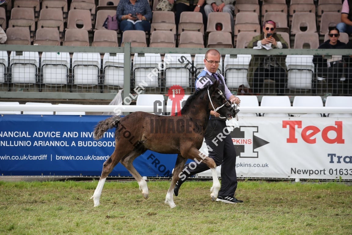 E75_5108 2024 - 1st Class Images