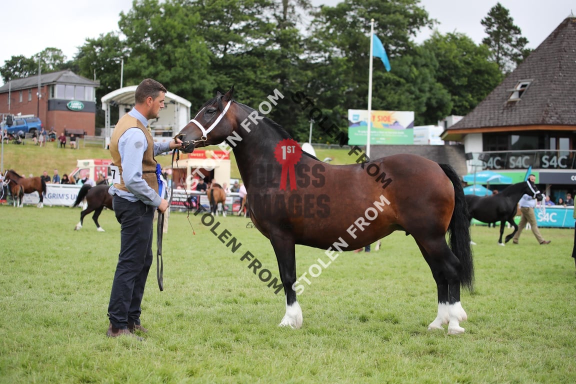 E75_4982 2024 - 1st Class Images