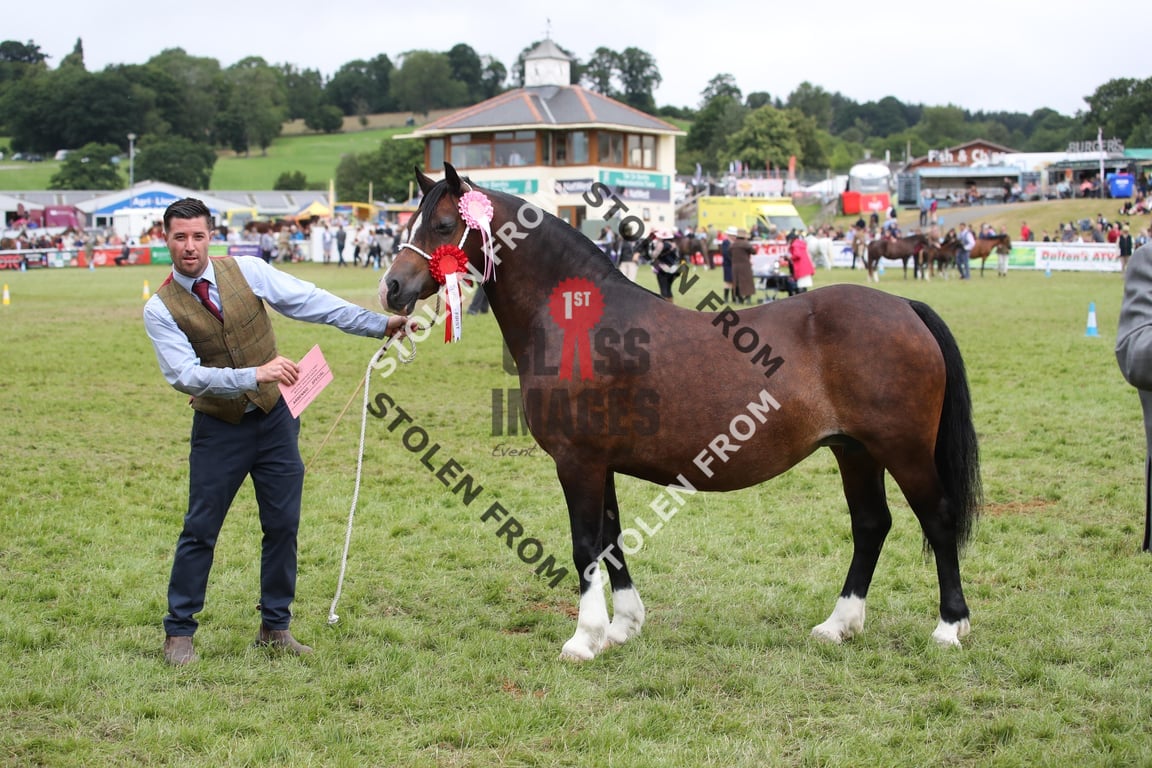 E75_5052 2024 - 1st Class Images