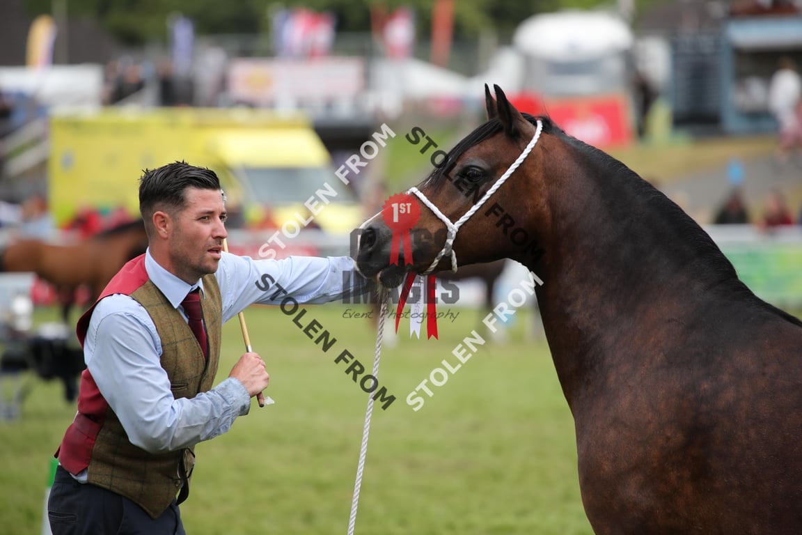 E75_5046 2024 - 1st Class Images