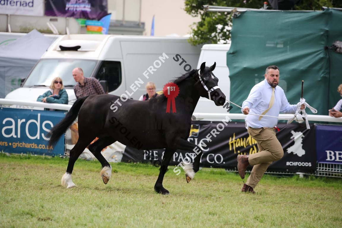 E75_4996 2024 - 1st Class Images